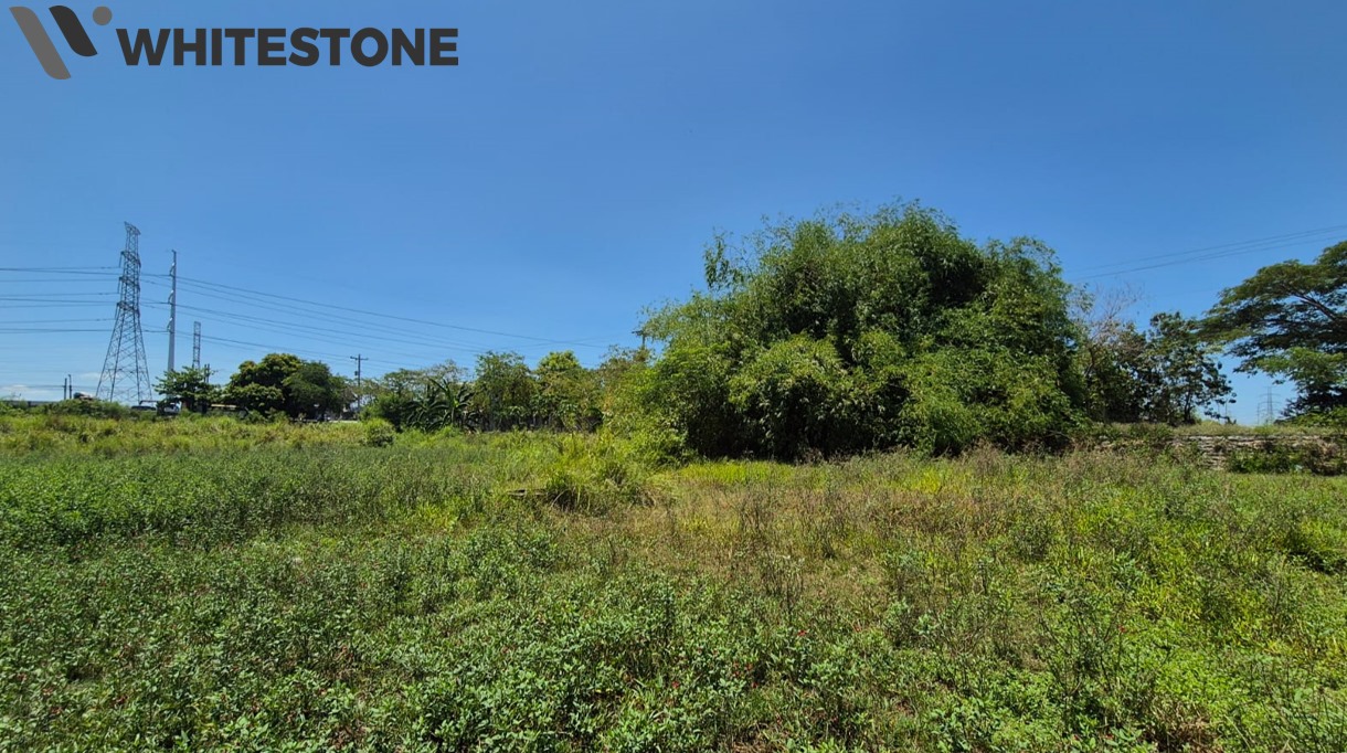 Listings | Whitestone Holdings, Inc.